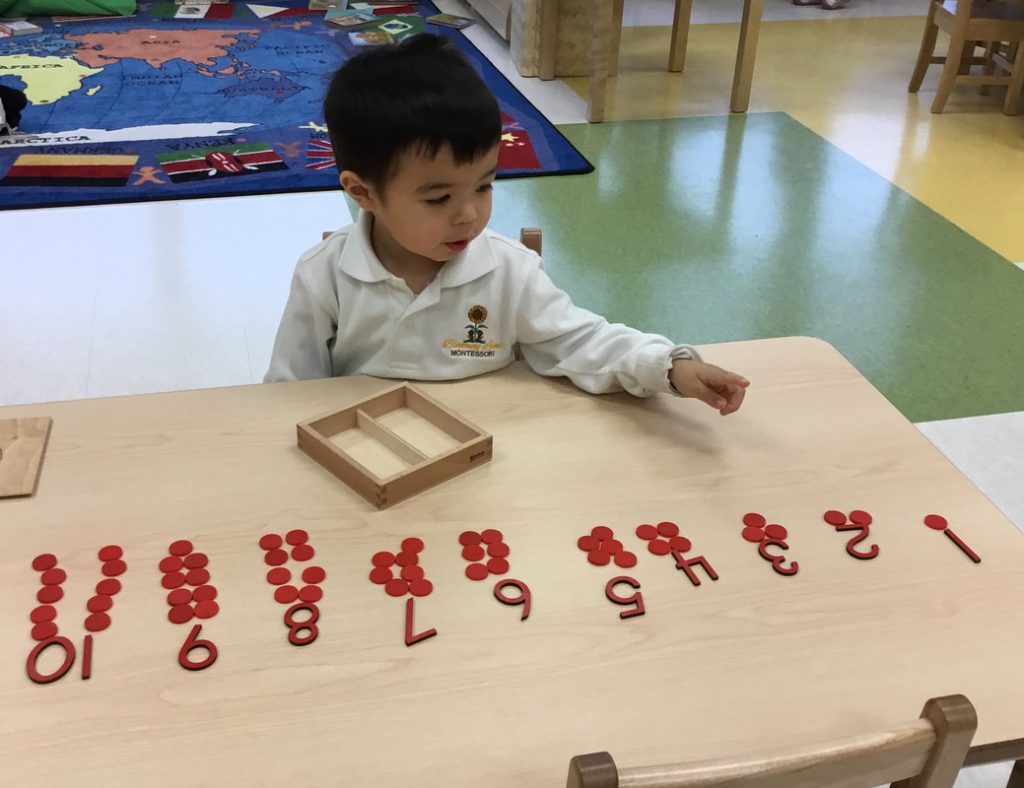 Blooming Lives Montessori | Extended Care Program